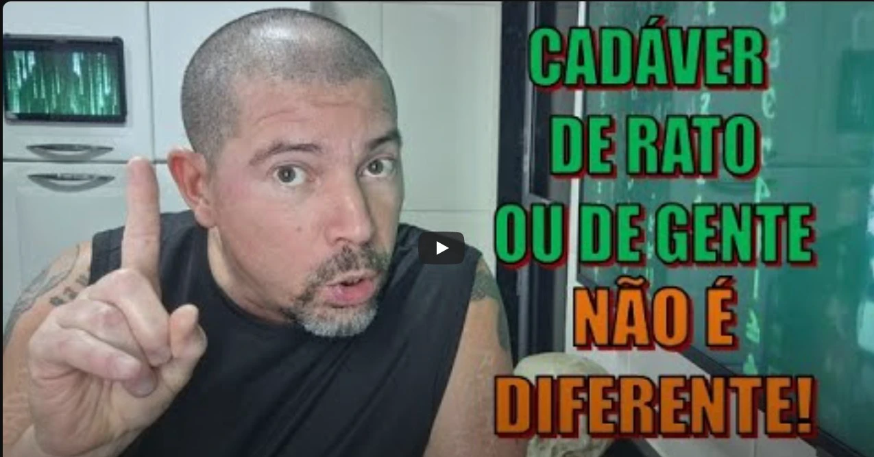 O rato vive feliz, até cair na boca do gato!