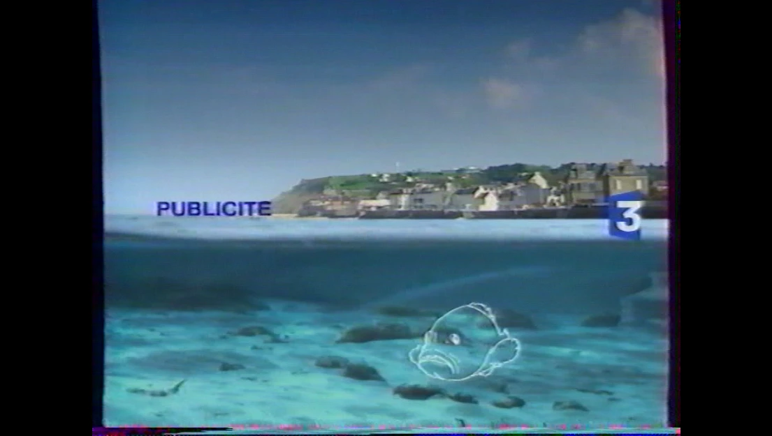 France 3 : 2 pubs, 3 B.A, Météo : 06-06-2004