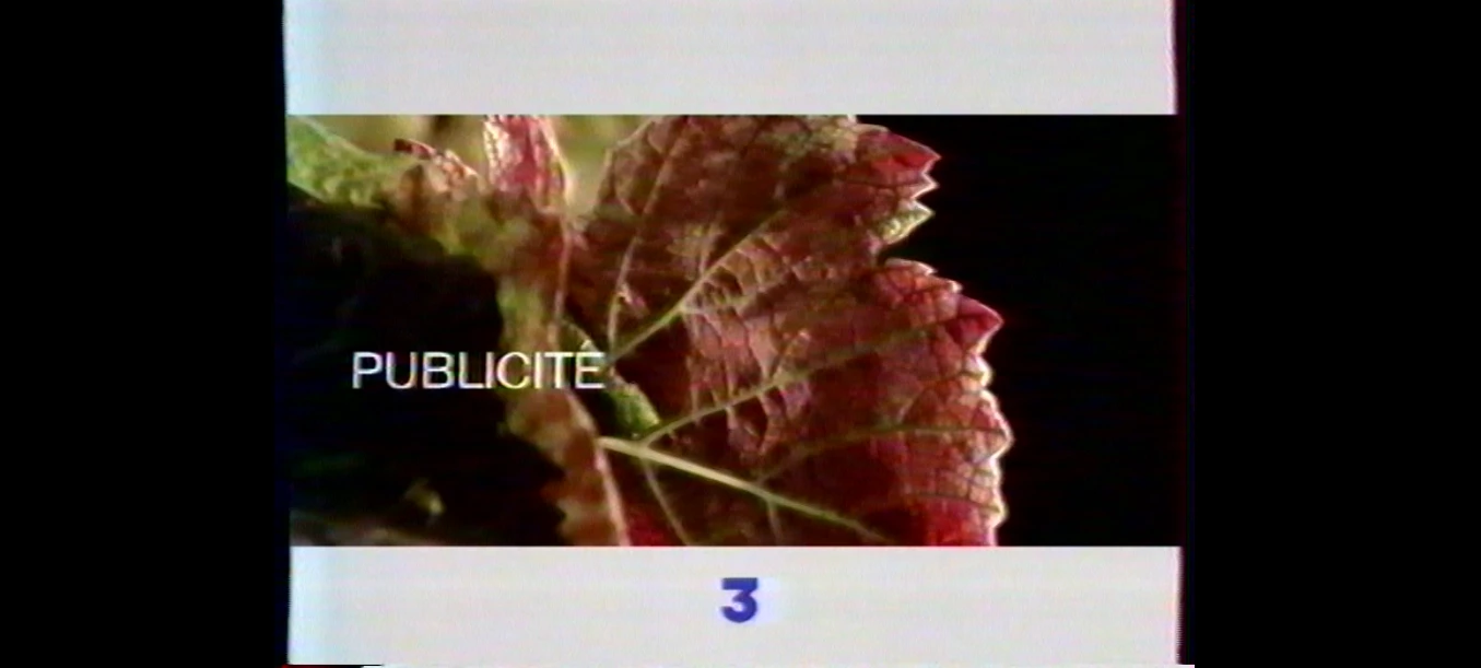 France 3 : C.N, 2 pubs, 3 B.A, La vie à deux : 13-12-2001