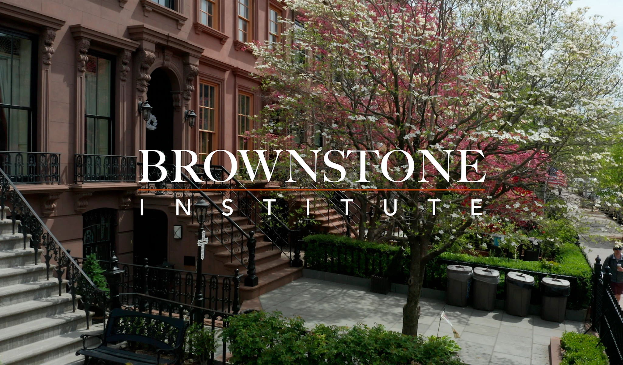 About Brownstone Institute